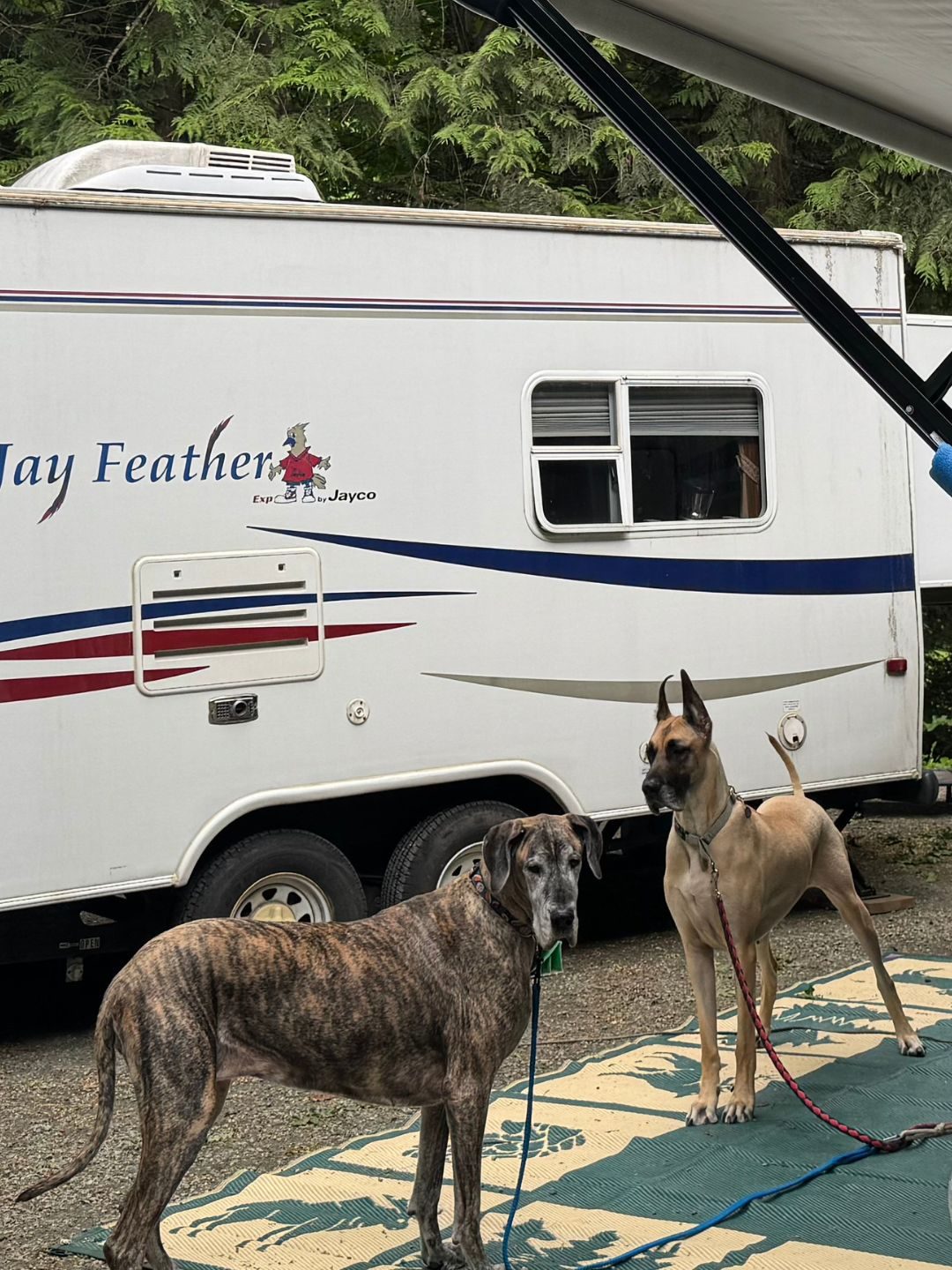 Traveland RV Blog - Traveland is one of the largest RV dealers in ...